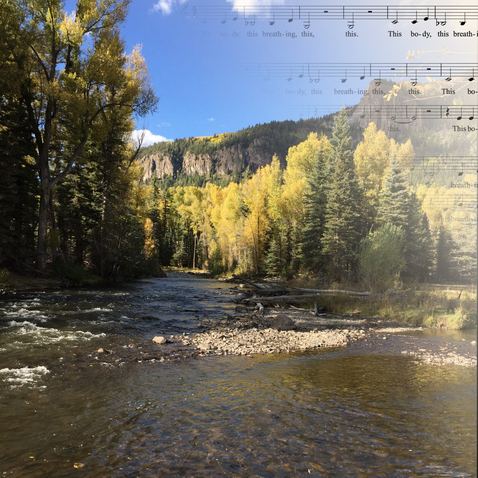 Becky Reardon Homepage - Becky Reardon