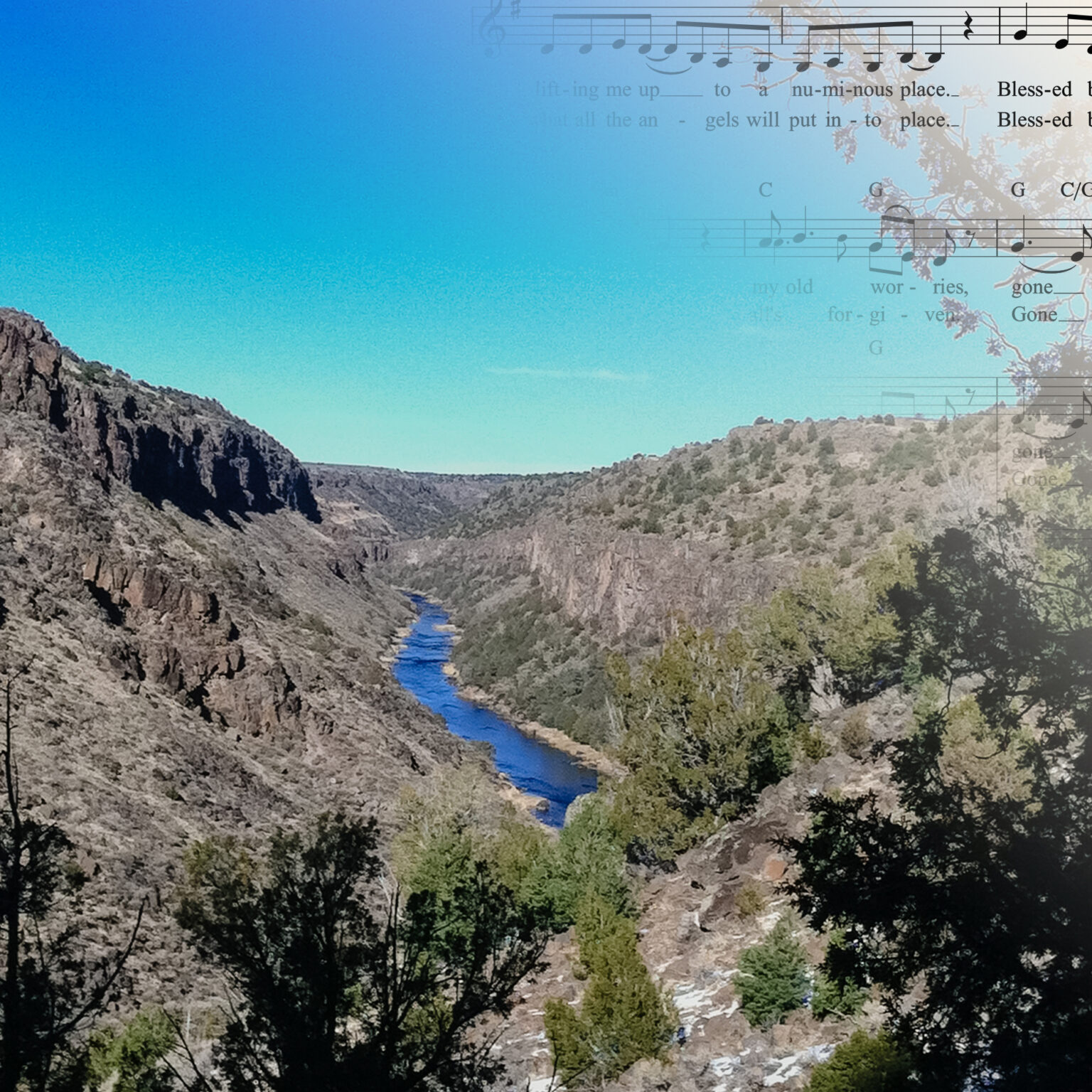 Becky Reardon – Songs for Community about the Natural World